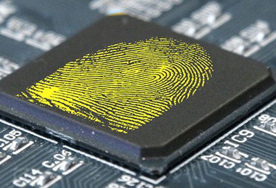 About Us - ElectroDragon